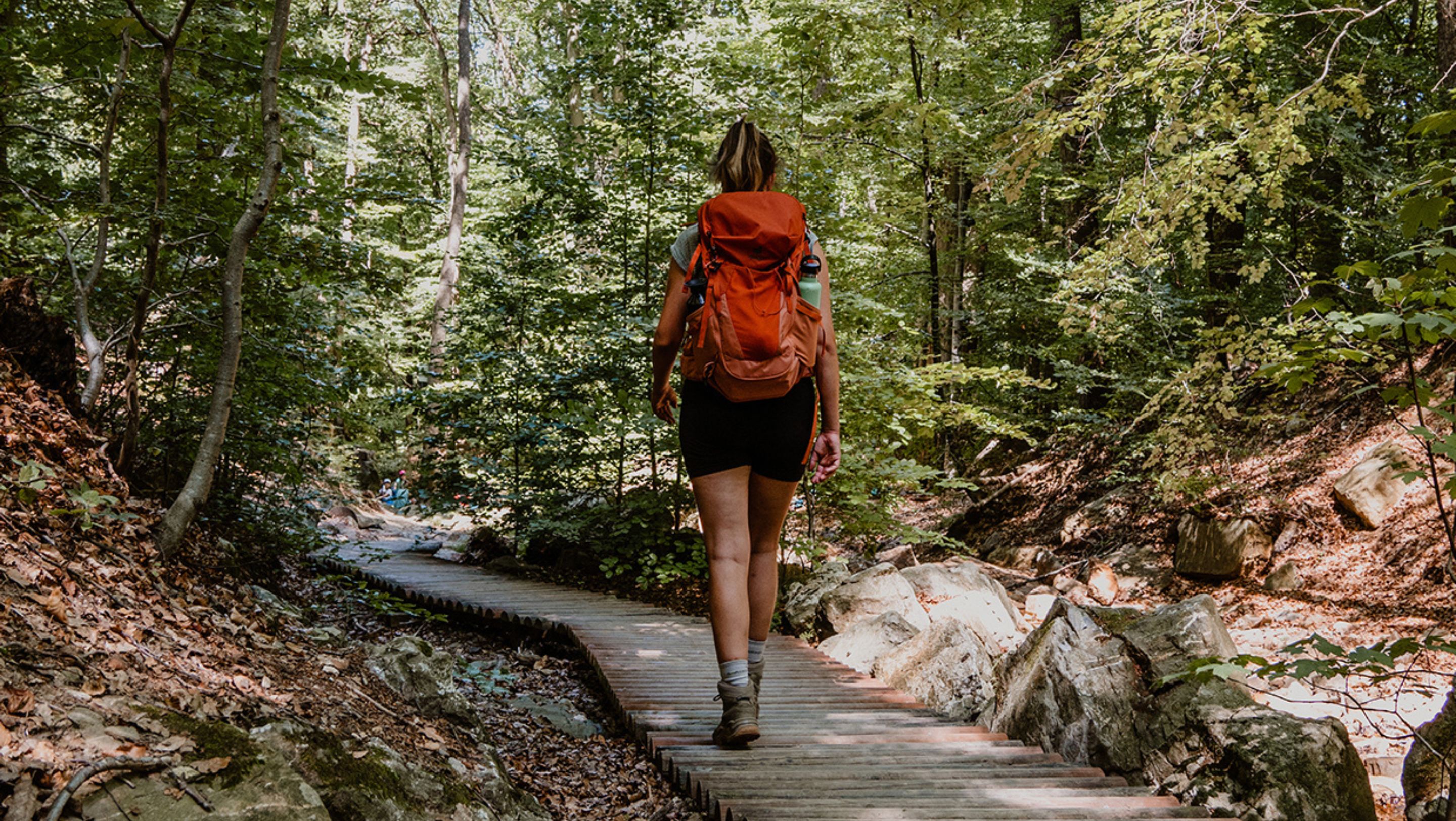 Wandelen boven de bronnen – Spa.nl